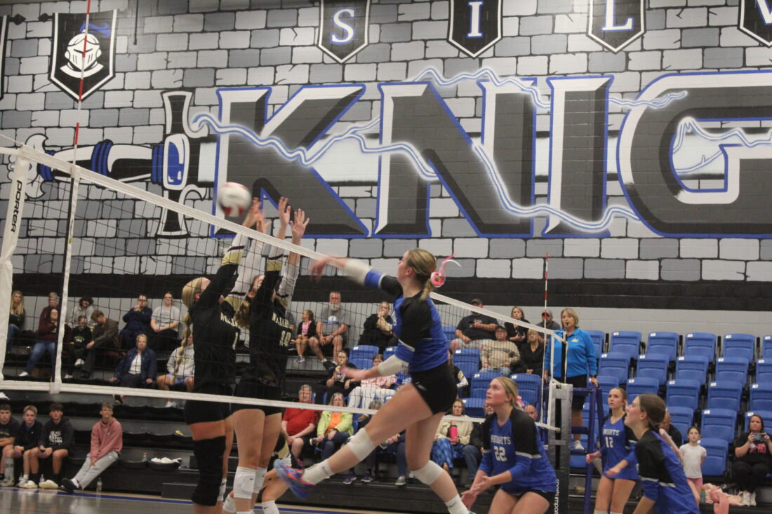 TC Volleyball | News, Sports, Jobs - Tyler Star News